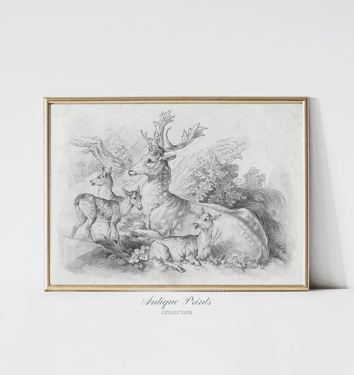 Rustic Vintage Deer Sketch, Neutral Mountain Wall Art, Deer Drawing ...