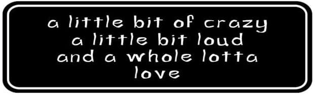 Rustic Wood Plaque Sign A Little Bit Crazy A Little Bit Loud And A ...