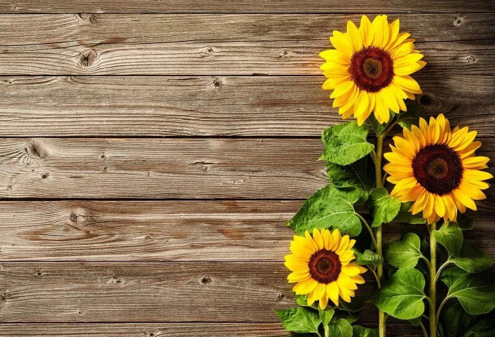 Rustic Wood Wedding Flower Backdrop Wooden Texture Board Floor Wall ...