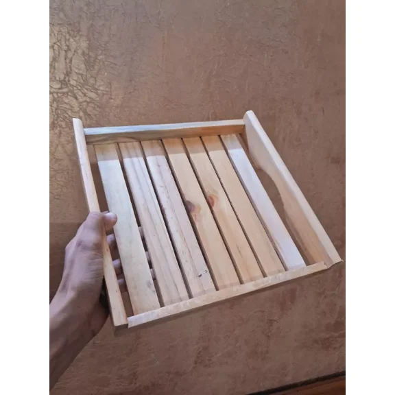 Lunch Trays