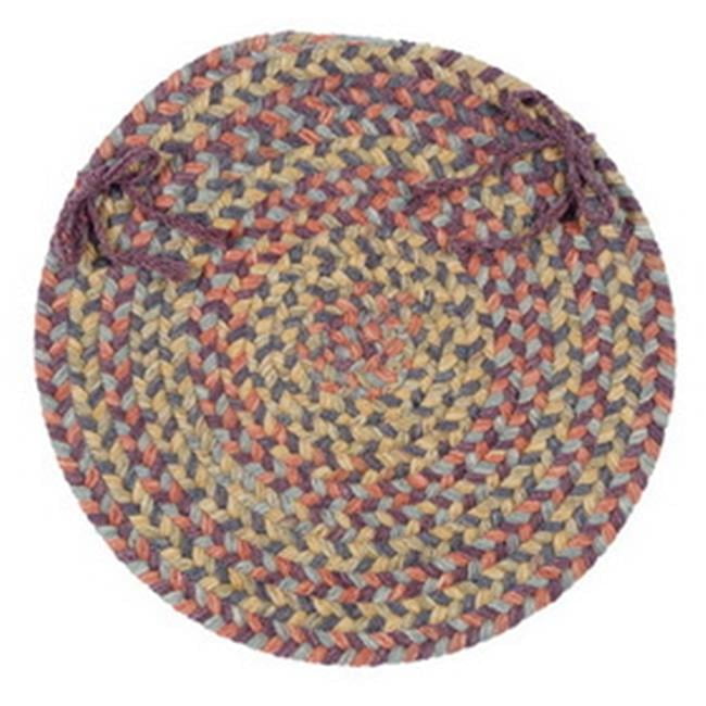 Rustica - Floral Burst Chair Pad - set 4 - Walmart.com
