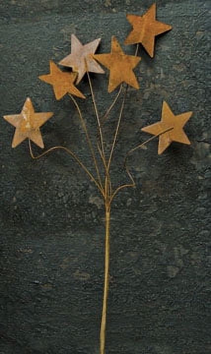 Rusty Star Pick - 12" - Walmart.com