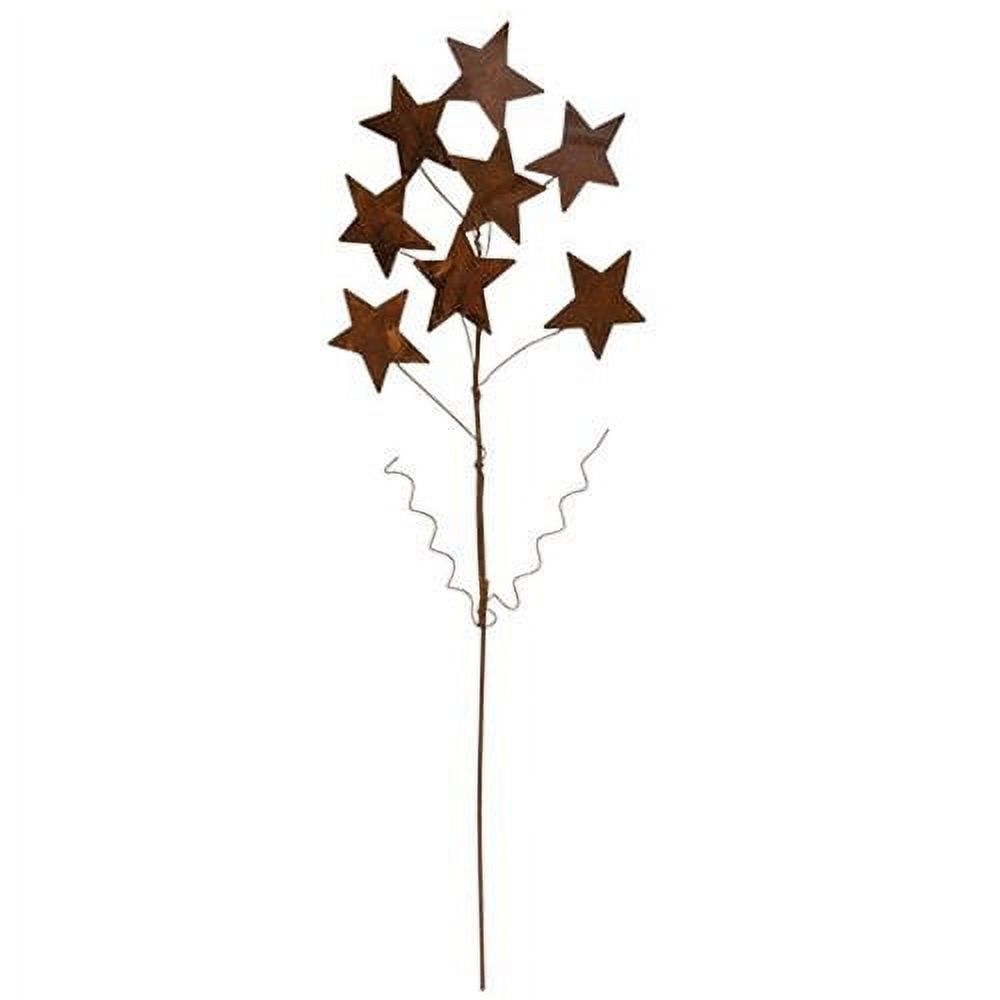 Rusty Star Spray - Walmart.com