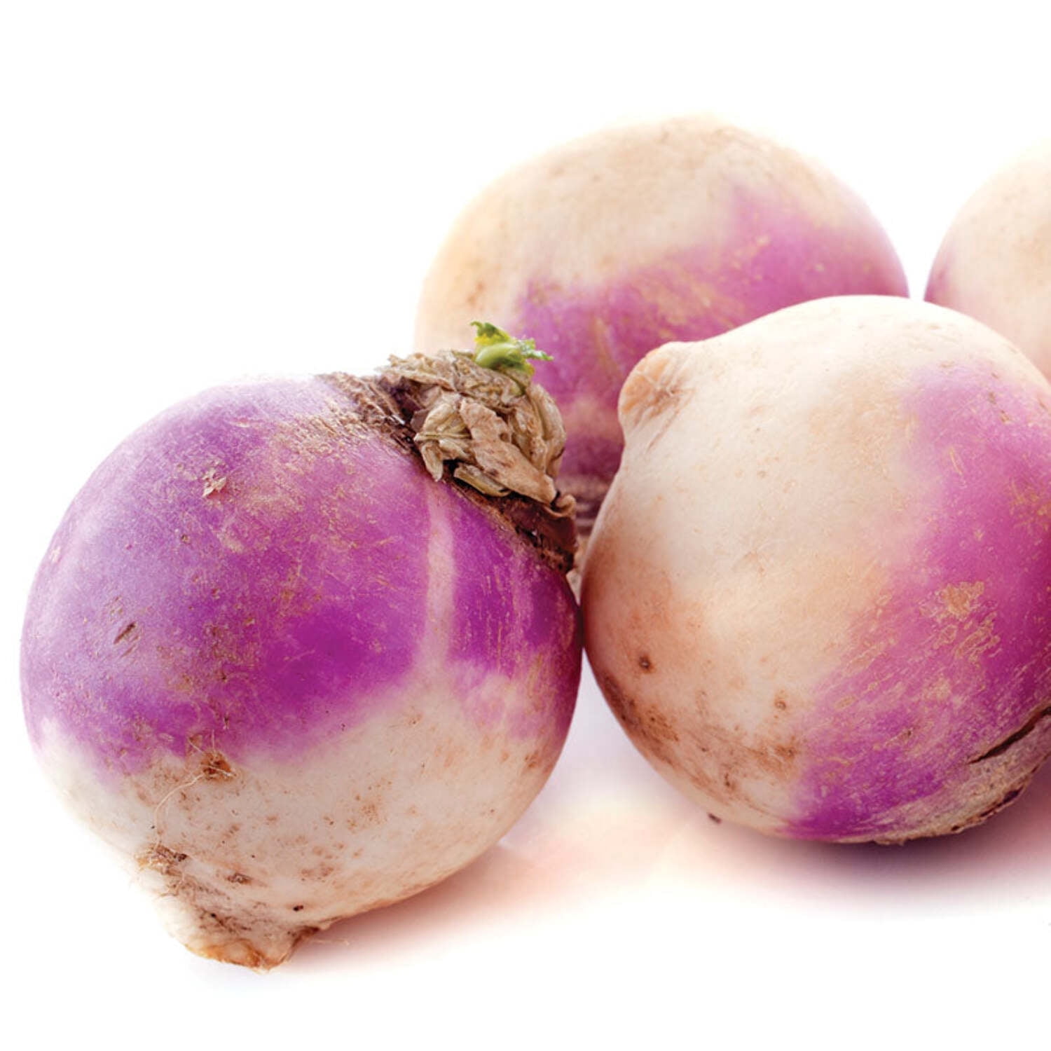 Rutabaga American Purple Top Seed, Treated, 1 lbs - Walmart.com