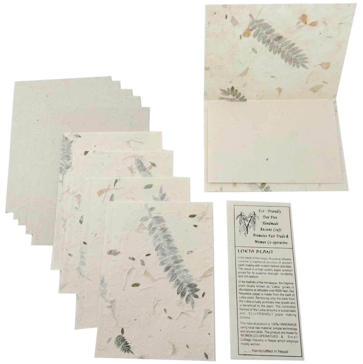Ruth + Wilde Nepal Greeting Card and Envelope Set: Floral Leaves ...