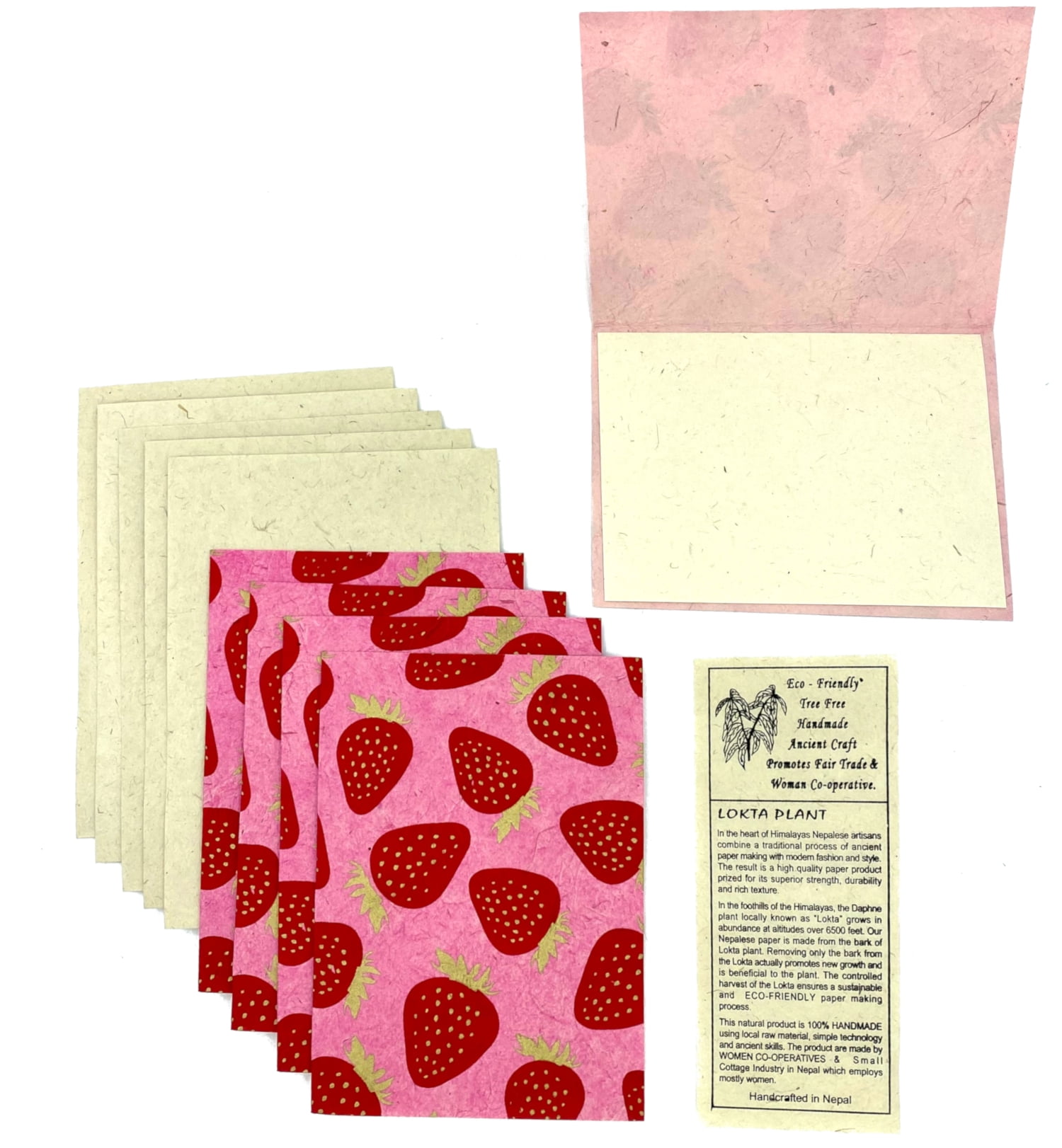 Ruth + Wilde Nepal Greeting Card and Envelope Set: Strawberry Notecards ...