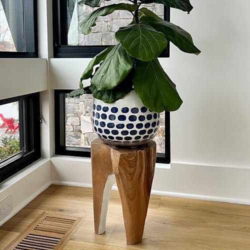 Rutledge & King Java Teak Root Stool - Wooden Stool - Teak Boho Side Table - Teak Accent Table ...