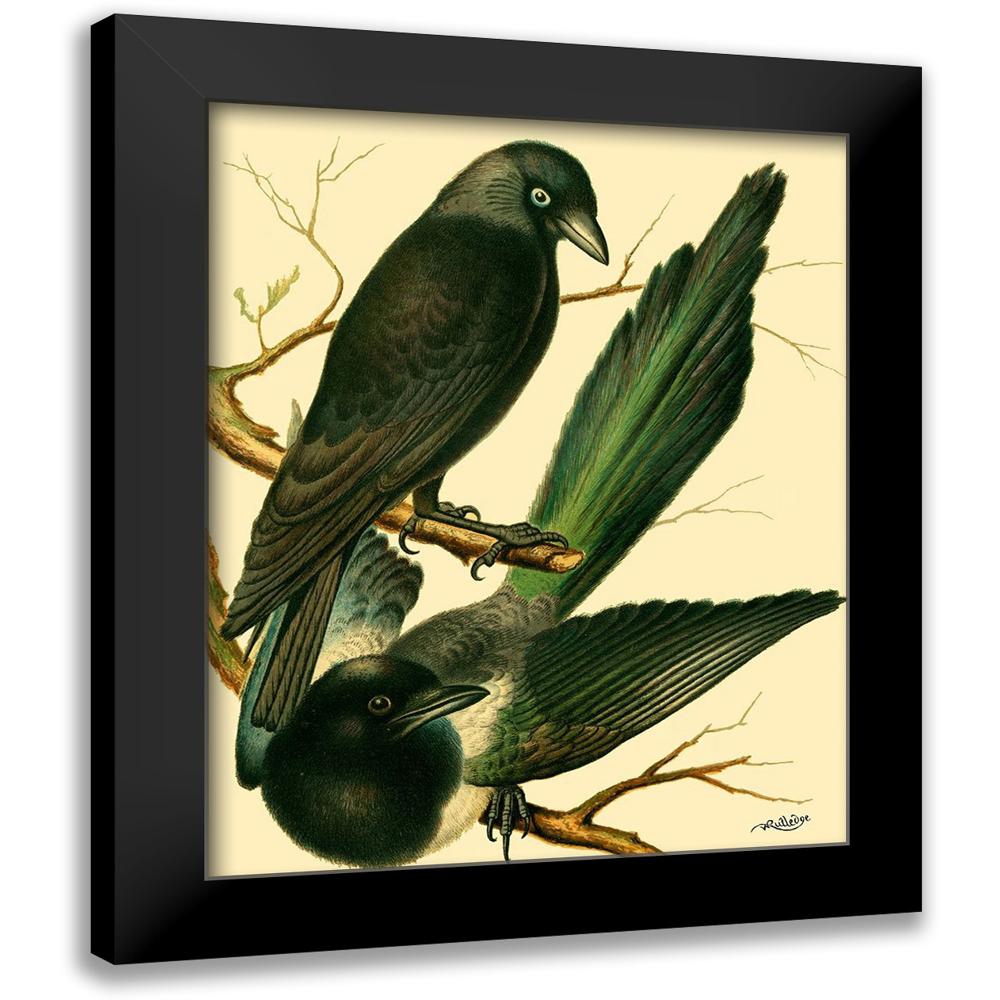 Rutledge, W. 15x18 Black Modern Framed Museum Art Print Titled ...