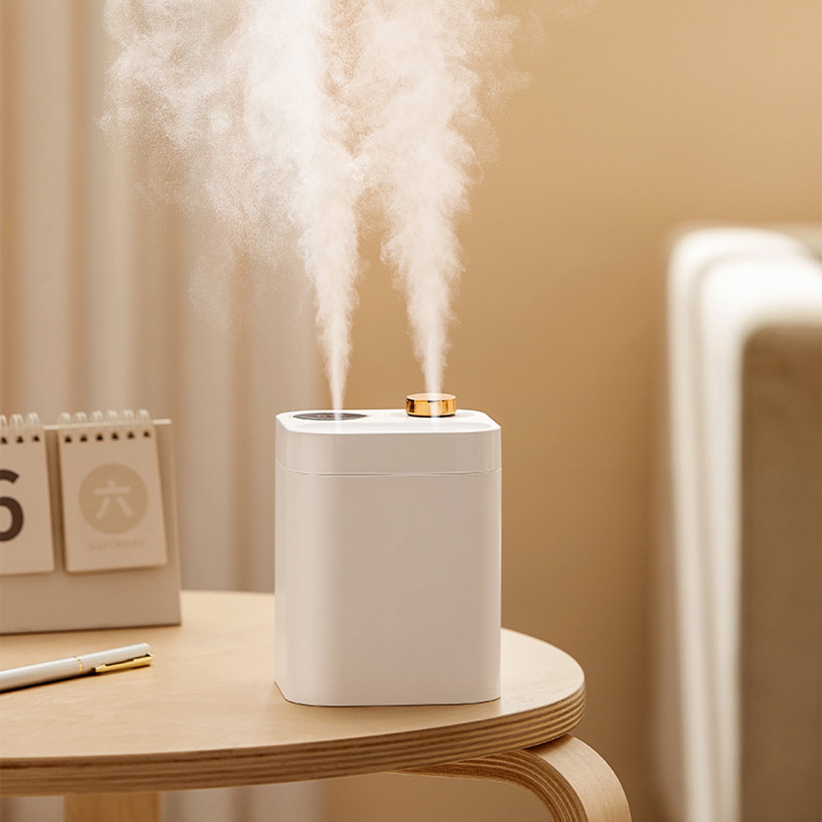 Rvasteizo Two-head Spray Mist Humidifier 1L Water Tank Quiet ...