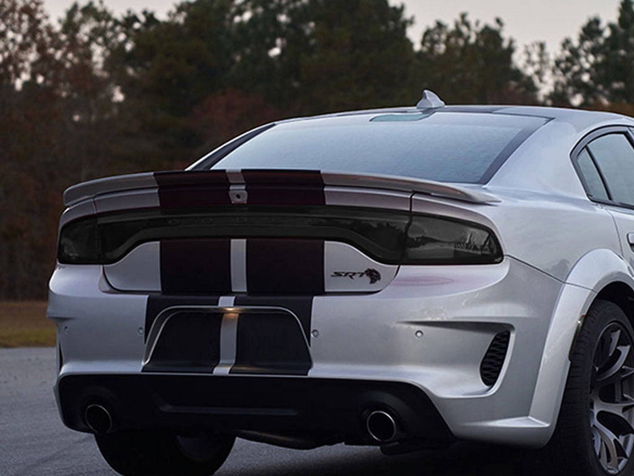 Rvinyl Tail Light Tint Covers Compatible with Dodge Charger 2015-2023 ...