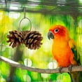 Rvkxad Parrot Chew Toy, Durable Pinecone Bird Toys for Parrots, Natural ...