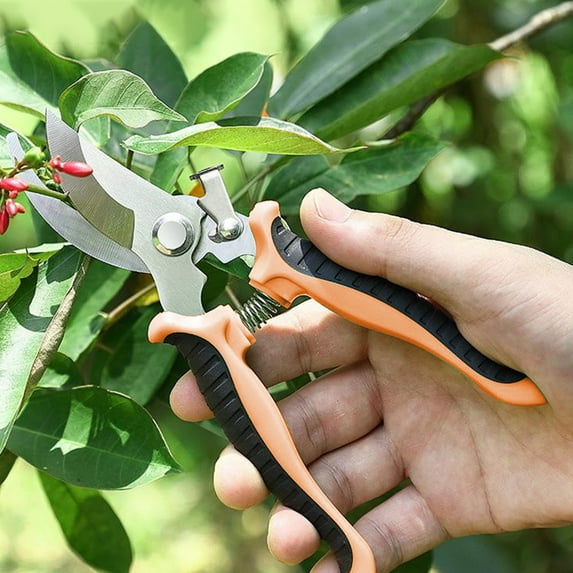 Rvkxad Professional Pruning Shears, Stainless Steel Garden Scissors ...