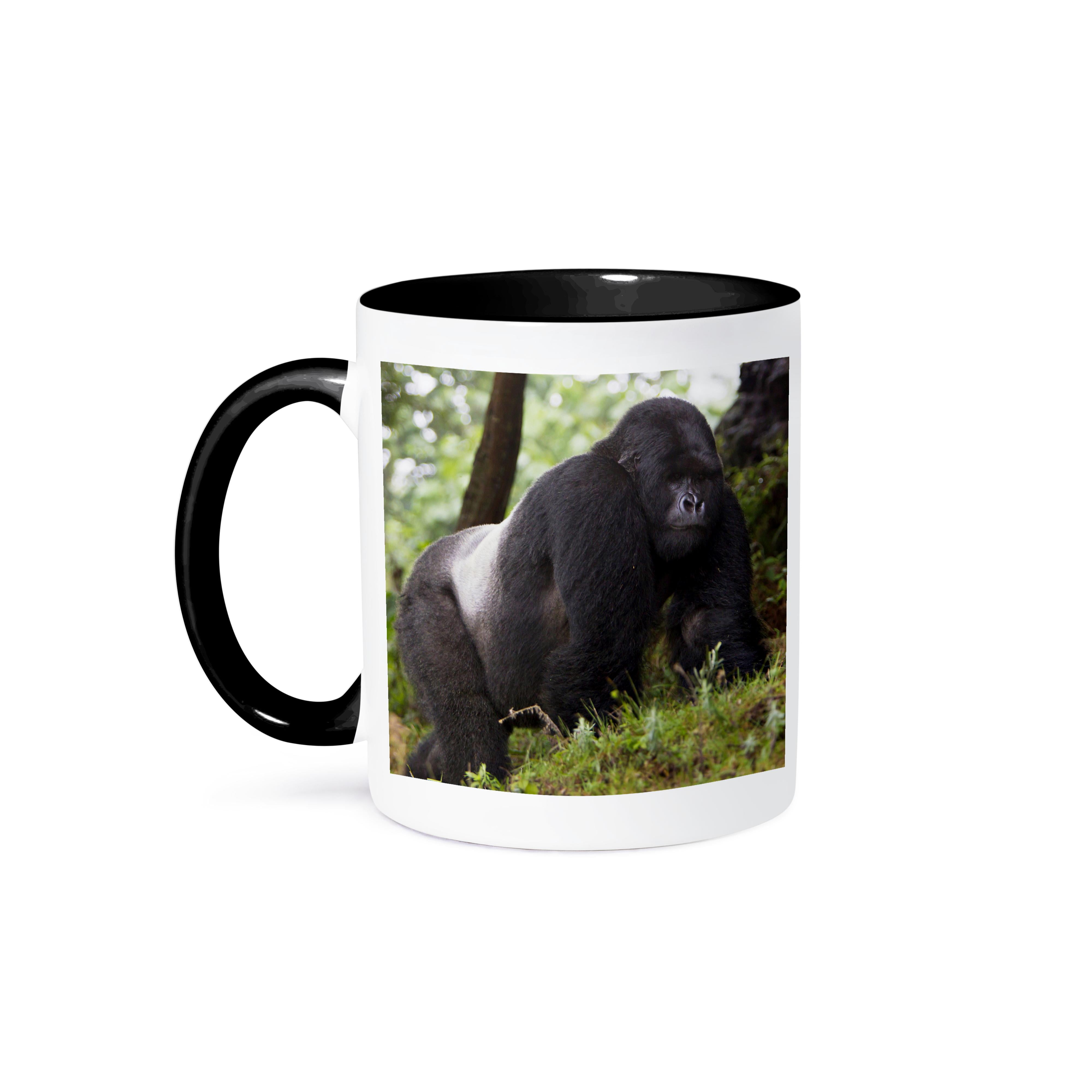 3dRose, Rwanda, Mountain Gorilla, No 2 Silverback -AF35 RBE0049 - Ralph ...