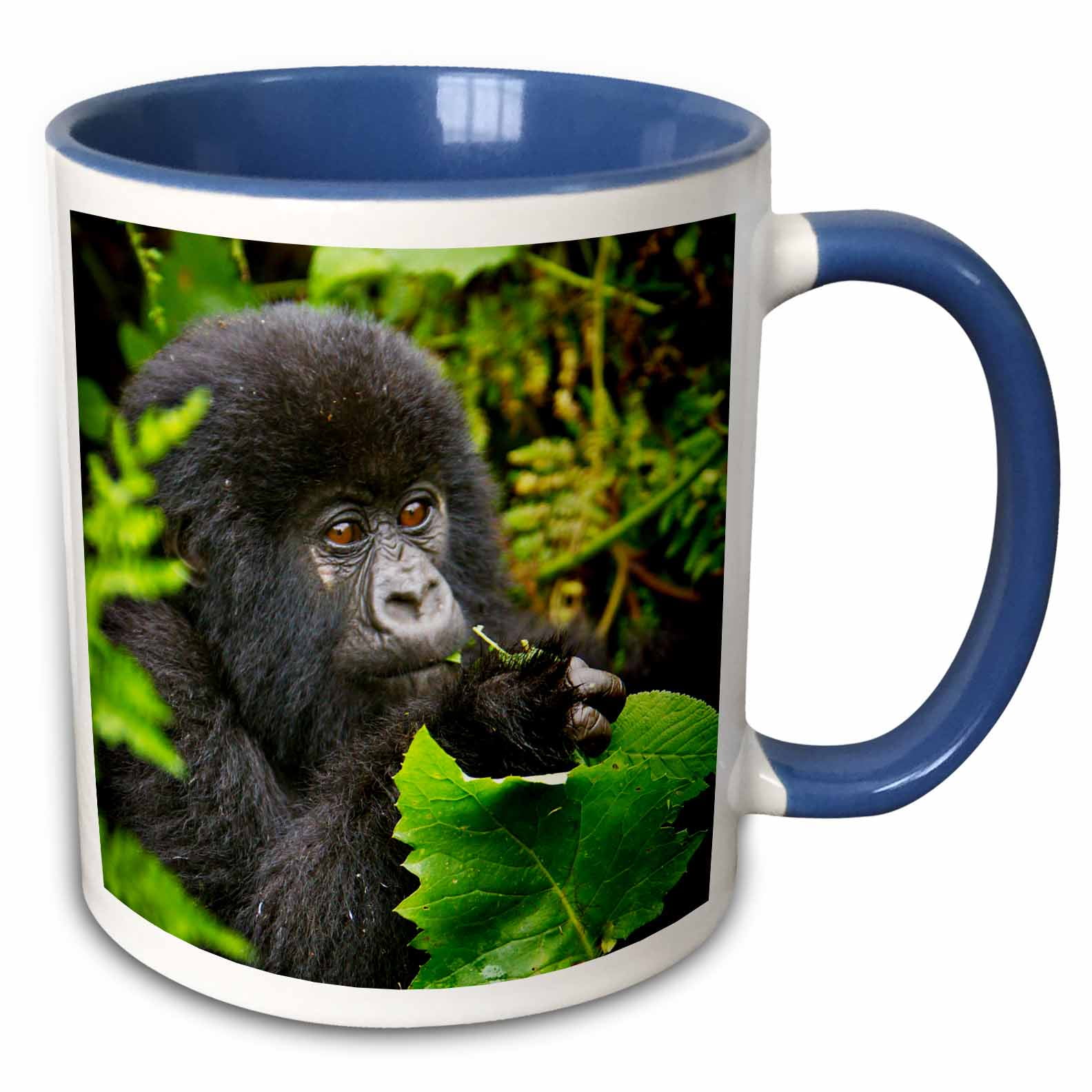 Rwanda, Volcanoes NP, Mountain Gorilla-AF35 RBE0042 - Ralph H ...