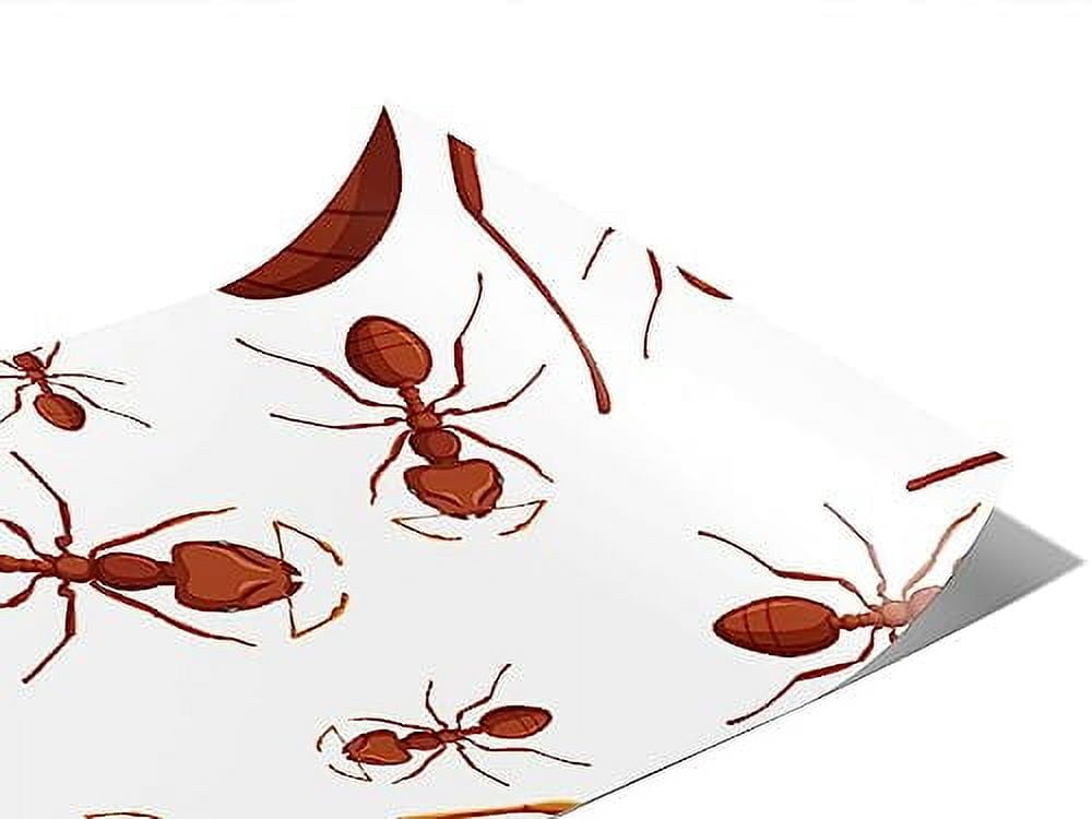 Rwraps Ant Colony Queen Gloss Vinyl Film Wrap 59in x 10ft Vinyl Vehicle ...