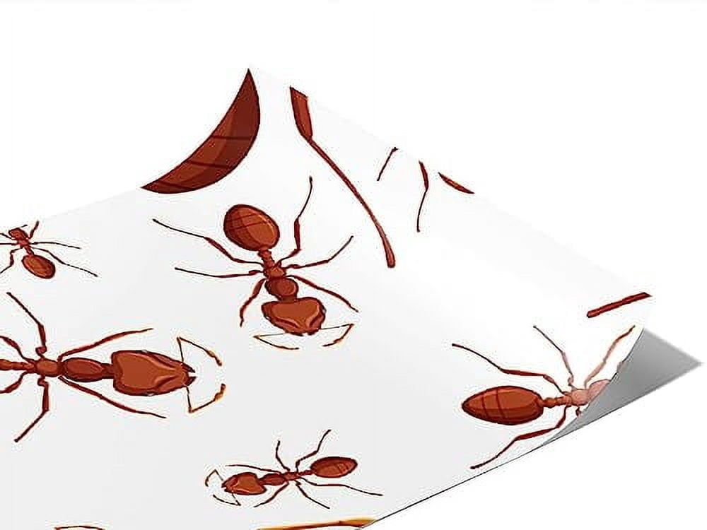 Rwraps Ant Colony Queen Matte Vinyl Film Wrap 59in x 21ft Vinyl Vehicle ...