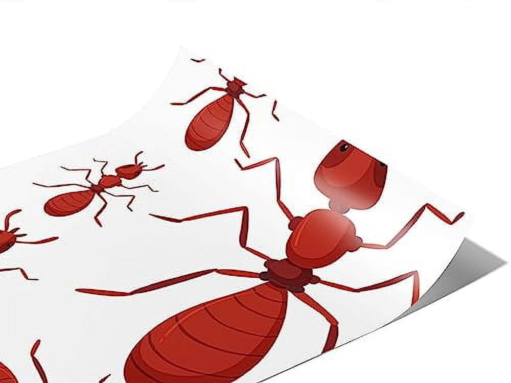 Rwraps Ant Fiery Bite Gloss Vinyl Film Wrap 59in x 11ft Vinyl Vehicle ...