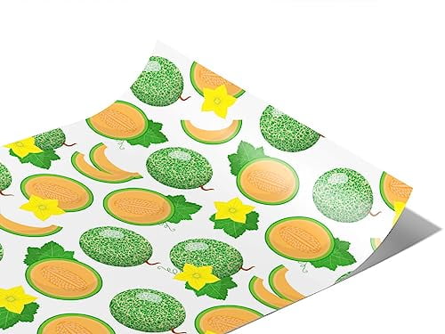 Rwraps Cantaloupe Olympic Express Gloss Vinyl Film Wrap 59in x 2ft ...