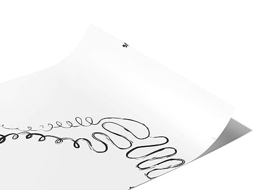 Rwraps Kangaroo Spring Jump Gloss Vinyl Film Wrap 59in x 9ft Vinyl ...