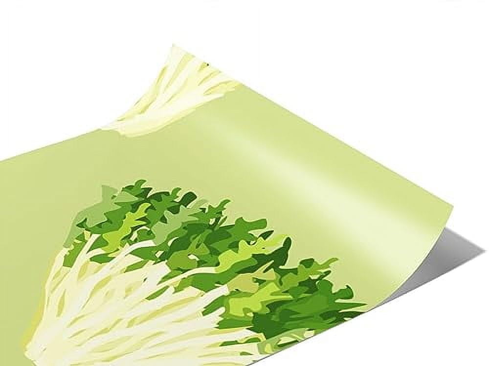 Rwraps Lettuce Vegetable Frizzy Frisee Matte Vinyl Film Wrap 59in x 5ft ...