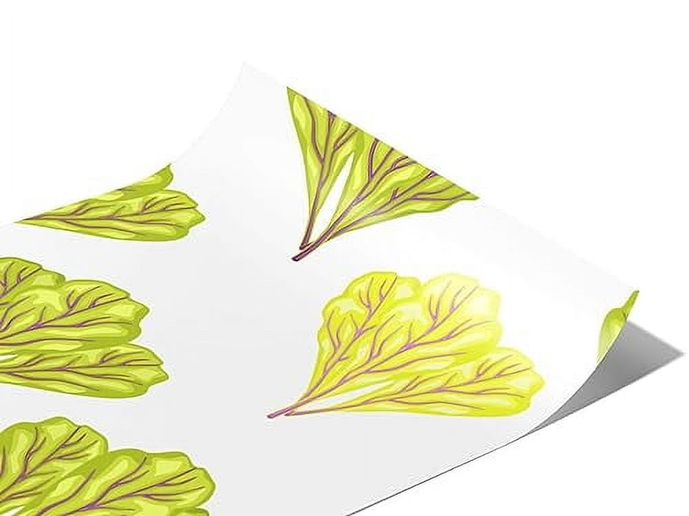 Rwraps Lettuce Vegetable Manly Mangold Gloss Vinyl Film Wrap 59in x ...