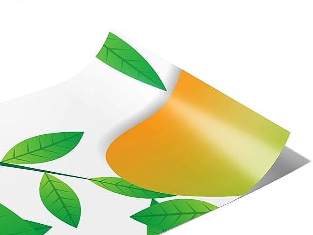 Rwraps Mango Springfel Tree Matte Vinyl Film Wrap 59in x 4ft Vinyl ...