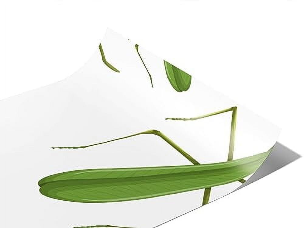 Rwraps Praying Mantis Brutal Boxers Matte Vinyl Film Wrap 59in x 8ft ...