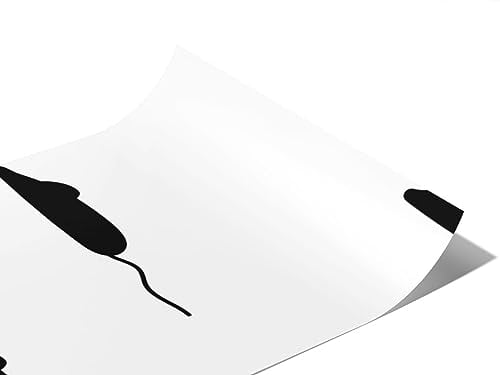 Rwraps Rat Darn It Matte Vinyl Film Wrap 59in x 24ft Vinyl Vehicle Car ...