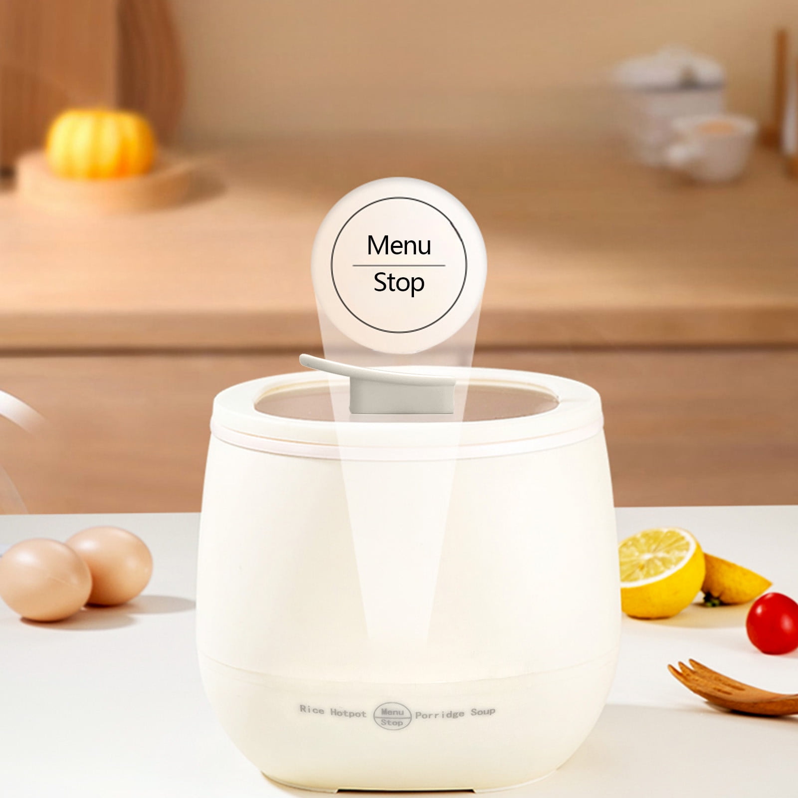 Rwvbm 110V Mini Rice Cooker 2-Cup Capacity Stainless Steel Non-Stick ...
