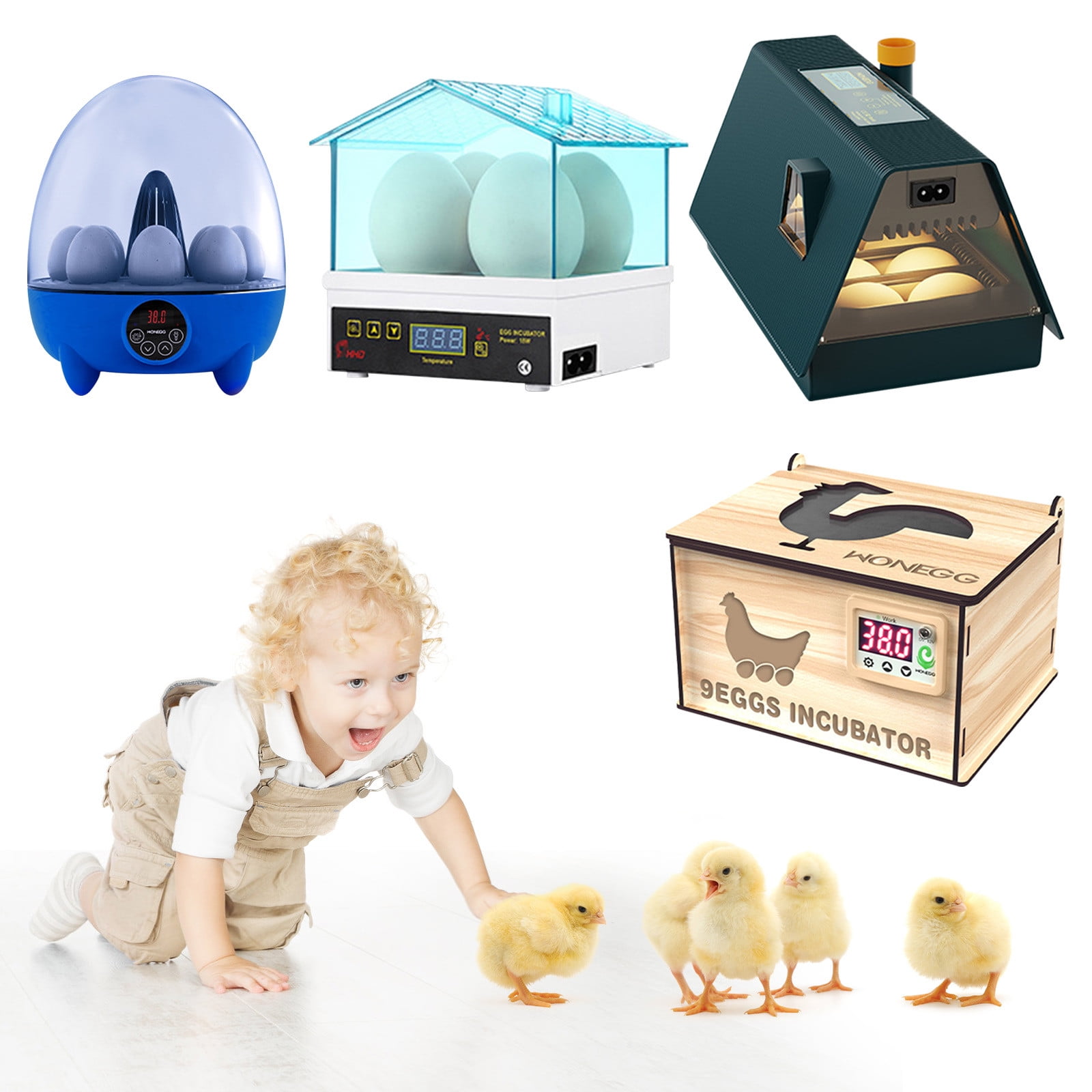 Rwvbm Automatic Chicken Hatching Machine with Turning, Temperature ...