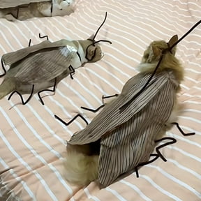 Batman Cat Meme Mask Hilarious Black Bat Mask for Cats, Pet for ...