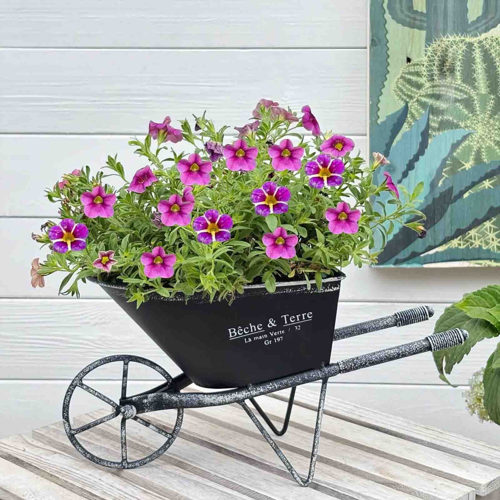 Rwvbm Ironwork Wheelbarrow Decorative Flower Pot, Vintage Style Metal ...