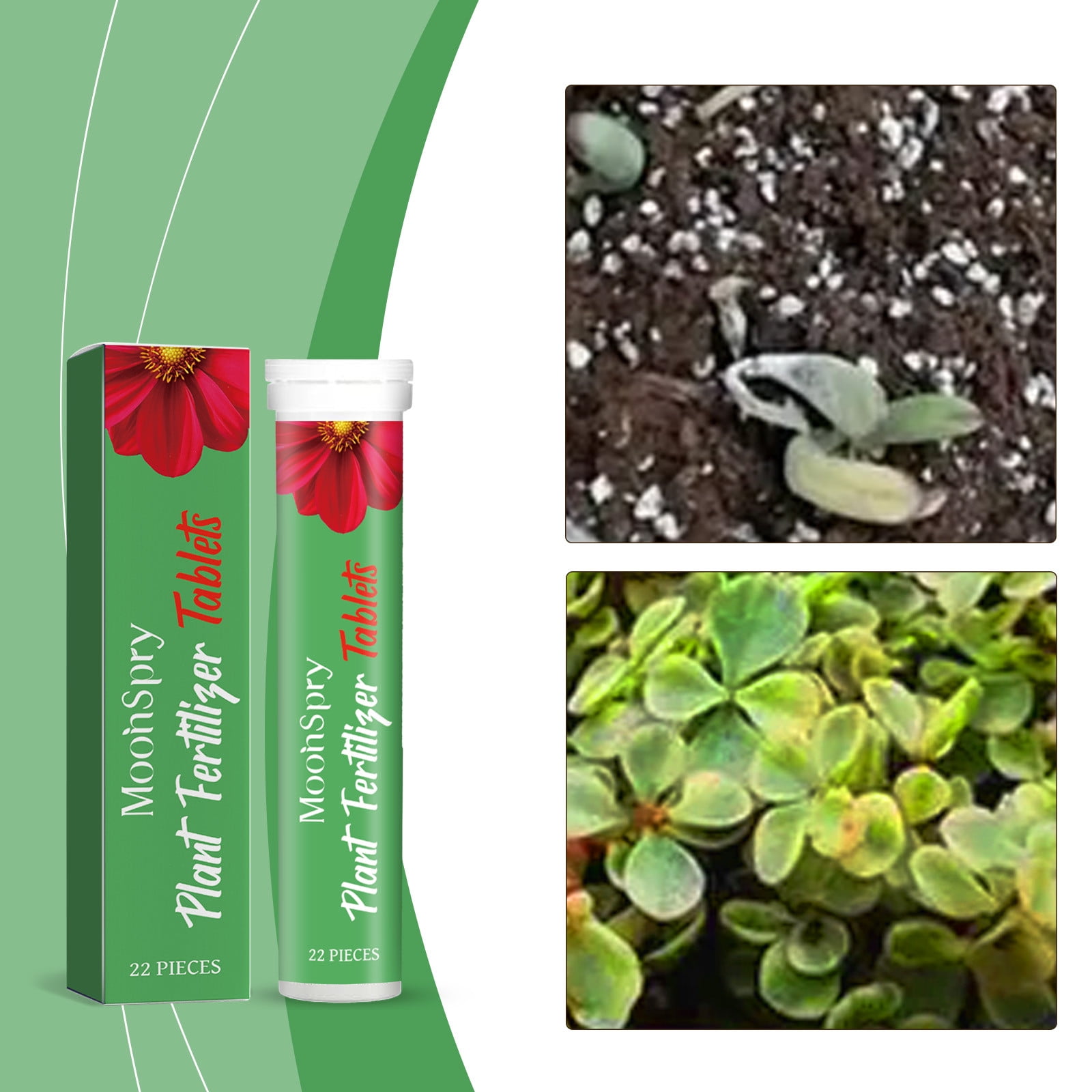 Rwvbm Slow-Release Plant Fertilizer Tablets 22-Count Green Nutrient ...
