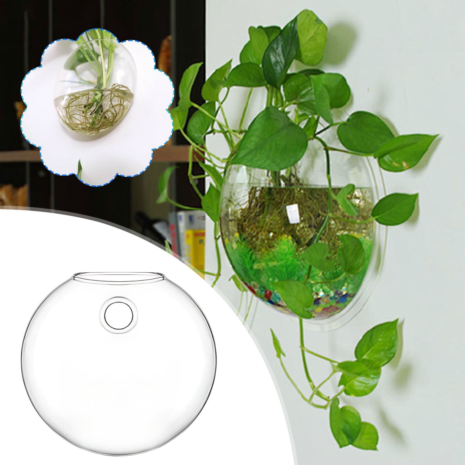 Rwvbm Wall Mounted Glass Vase for Hydroponic Plants,Flat-Back Flower ...