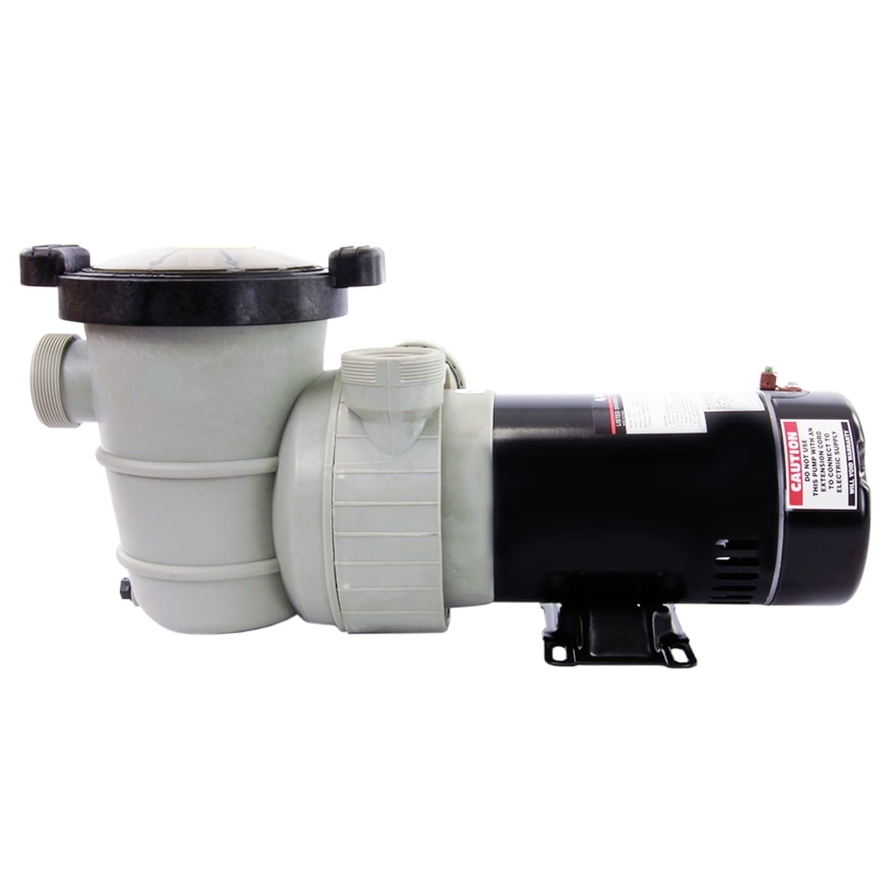 Rx Clear Dorado 2 HP Dual Port Above-Ground Swimming Pool Pump ...