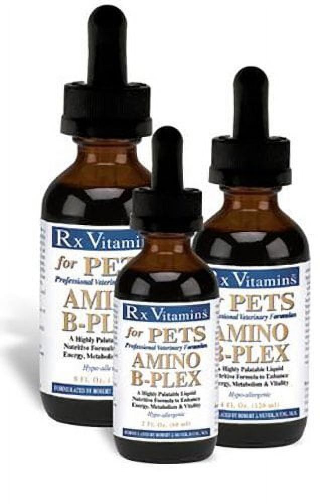 Rx Vitamins Amino B-Plex Multivitamin for Cats & Dogs, Energy & Vitality Boost, 4 fl. oz ...