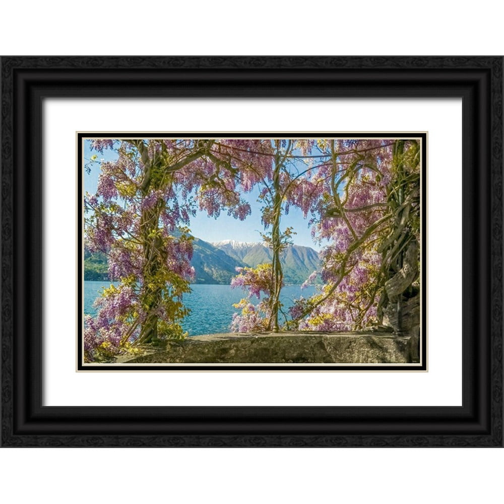Ryan, Brooke T. 14x11 Black Ornate Wood Framed with Double Matting ...