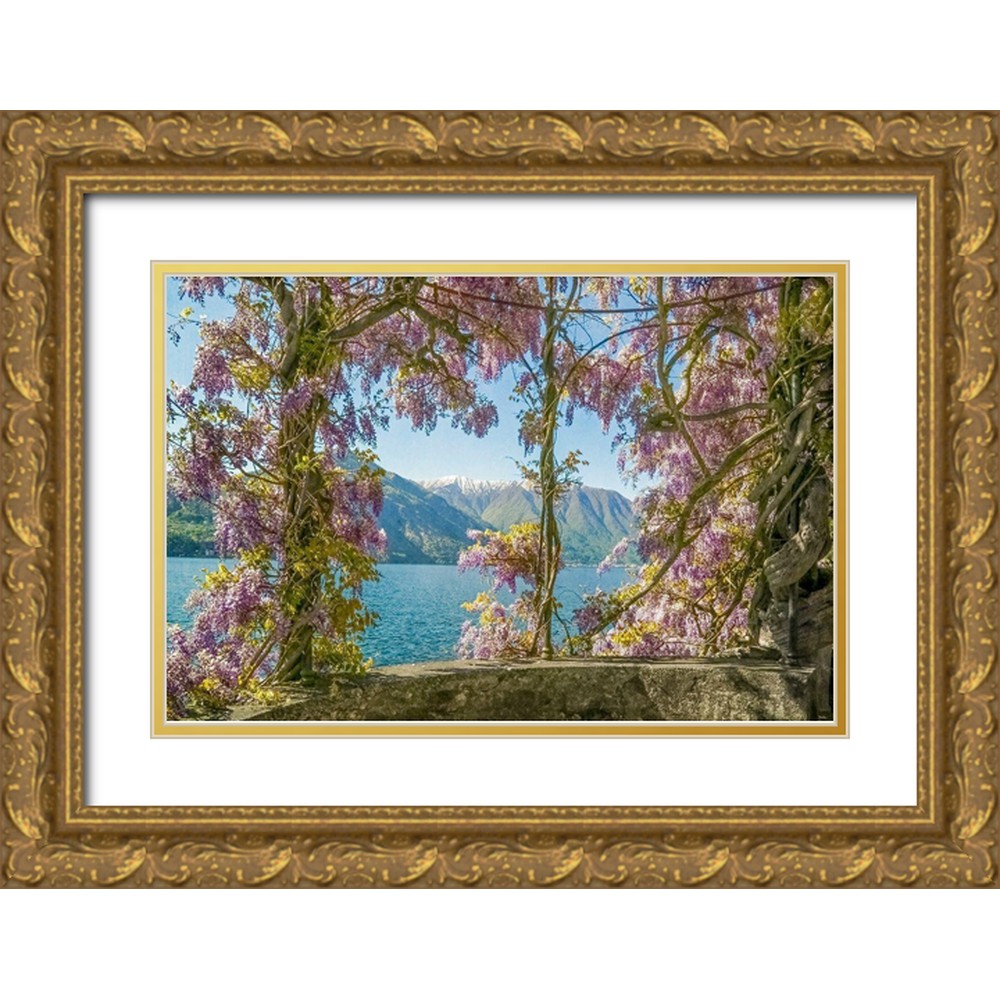 Ryan, Brooke T. 14x11 Gold Ornate Wood Framed with Double Matting ...