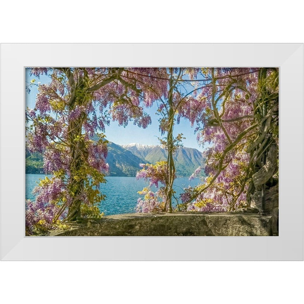 Ryan, Brooke T. 32x23 White Modern Wood Framed Museum Art Print Titled ...