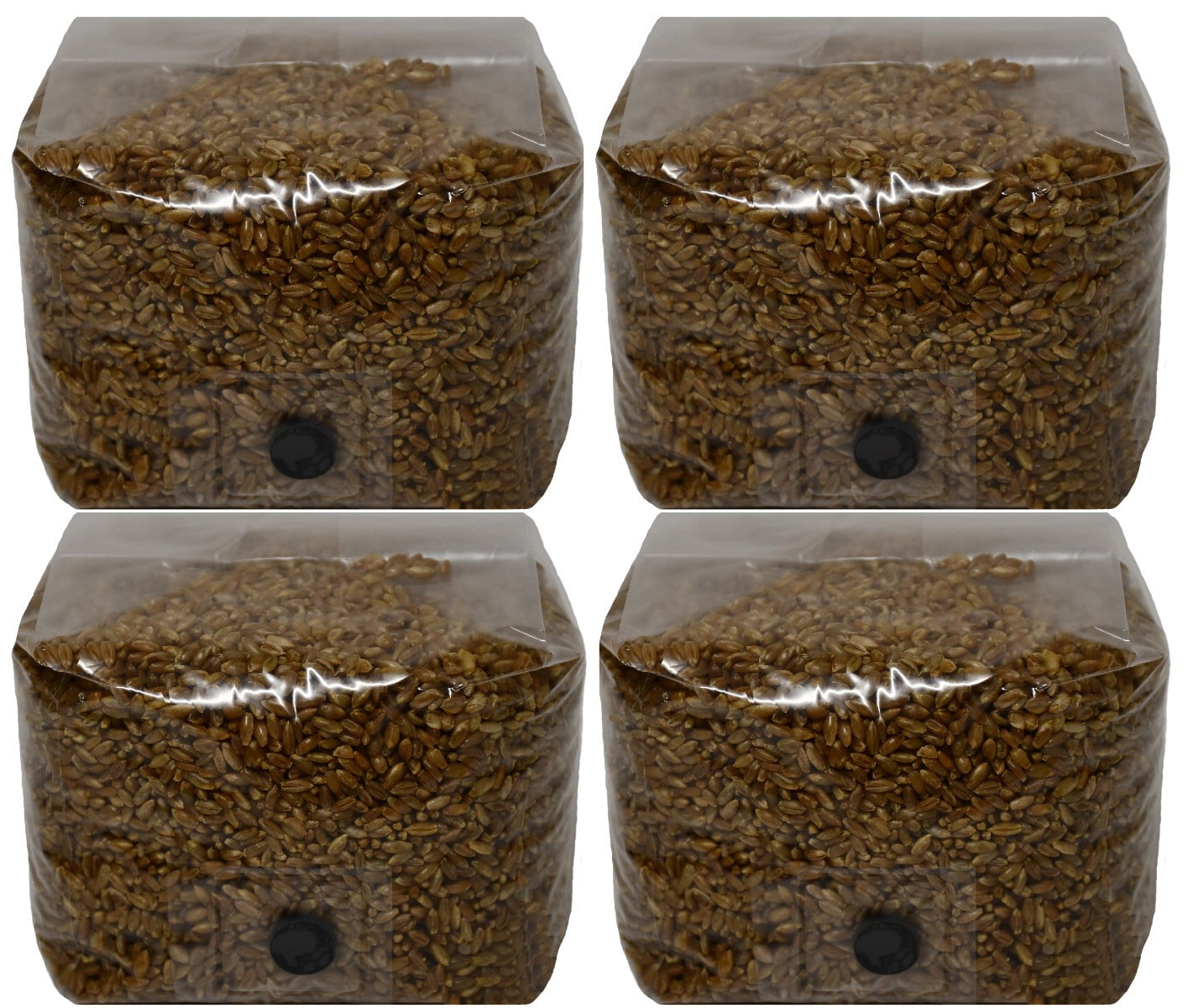 Organic Rye Berry Mushroom Substrate Grow Bags, Large 3lb, Self Healing ...