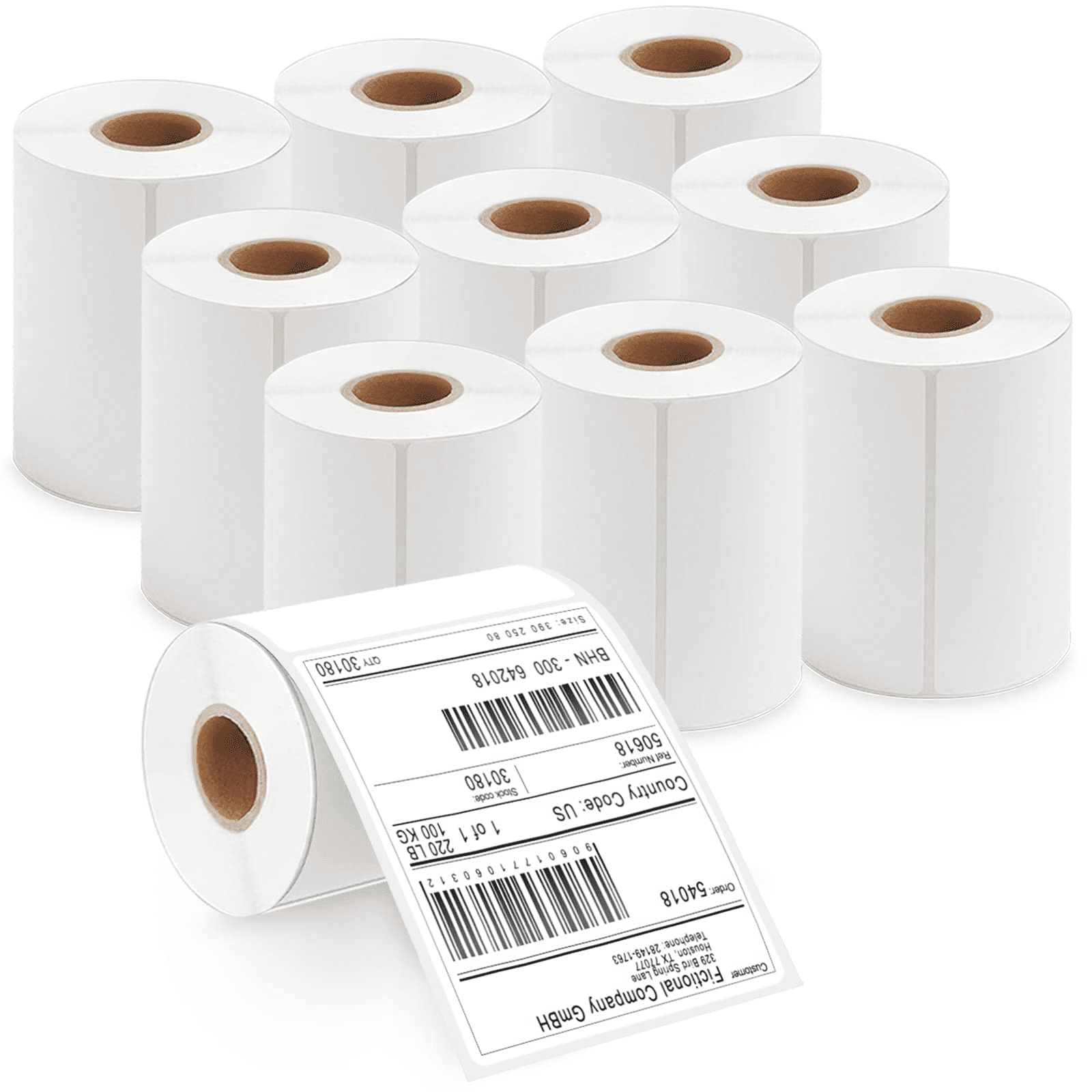 Ryhampaper 10 Rolls 4x6 Thermal Labels Blank Shipping Labels, 250 ...