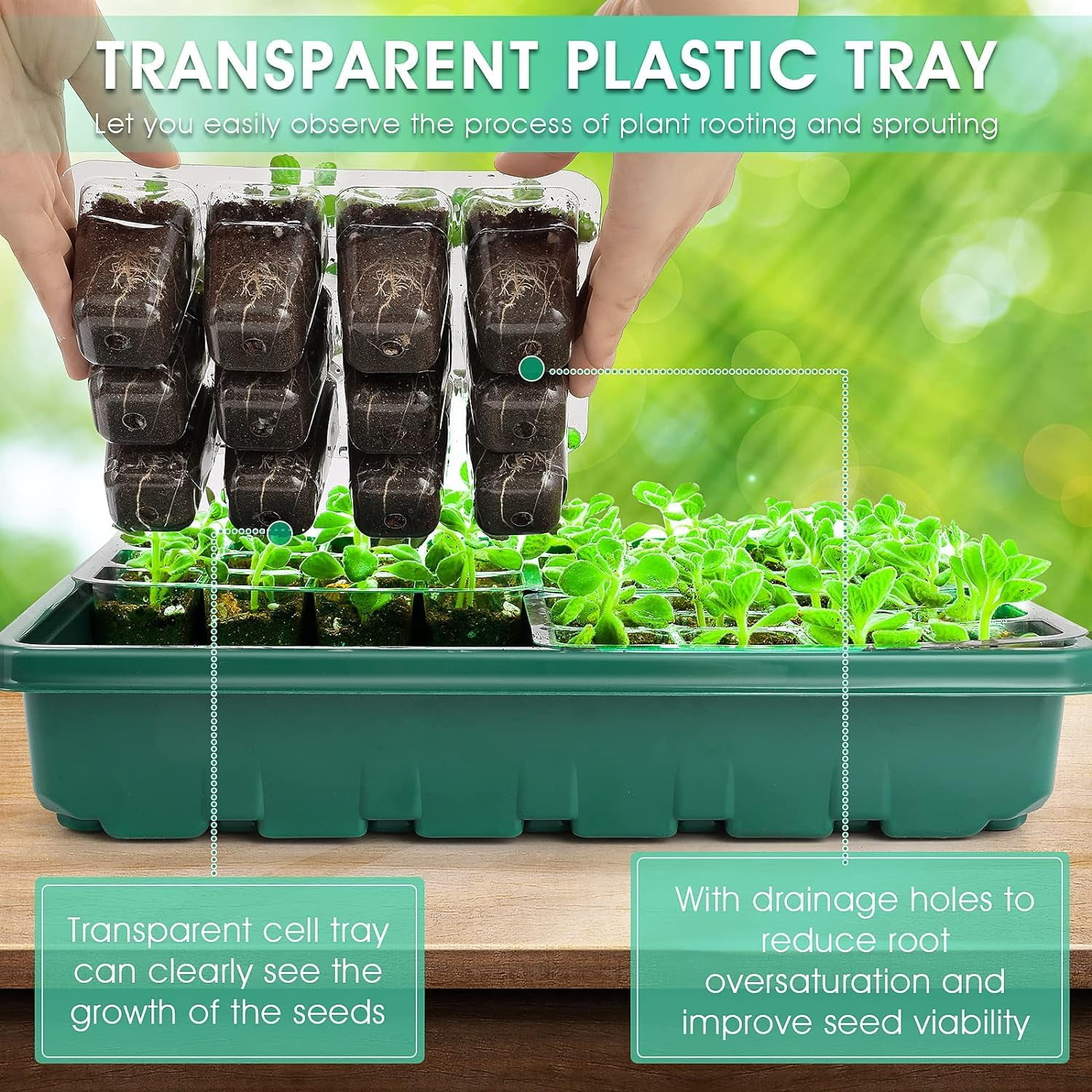 Ryscam Seed Starter FEV6 Tray with Grow Light, 192-Cell Seed Starter Kit, Seedling Starter Trays ...