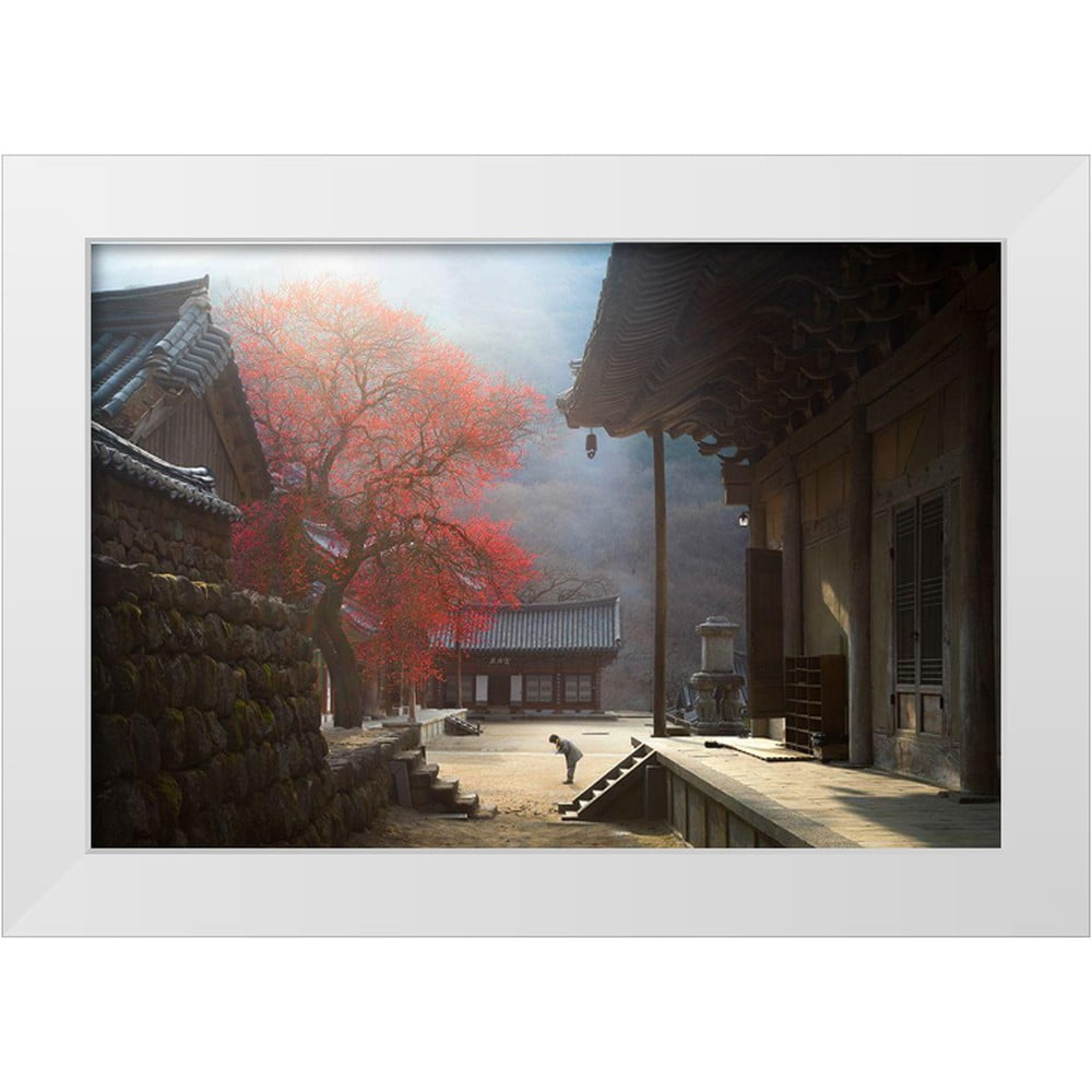 Ryu, Jaeyoun 32x23 White Modern Wood Framed Museum Art Print Titled ...