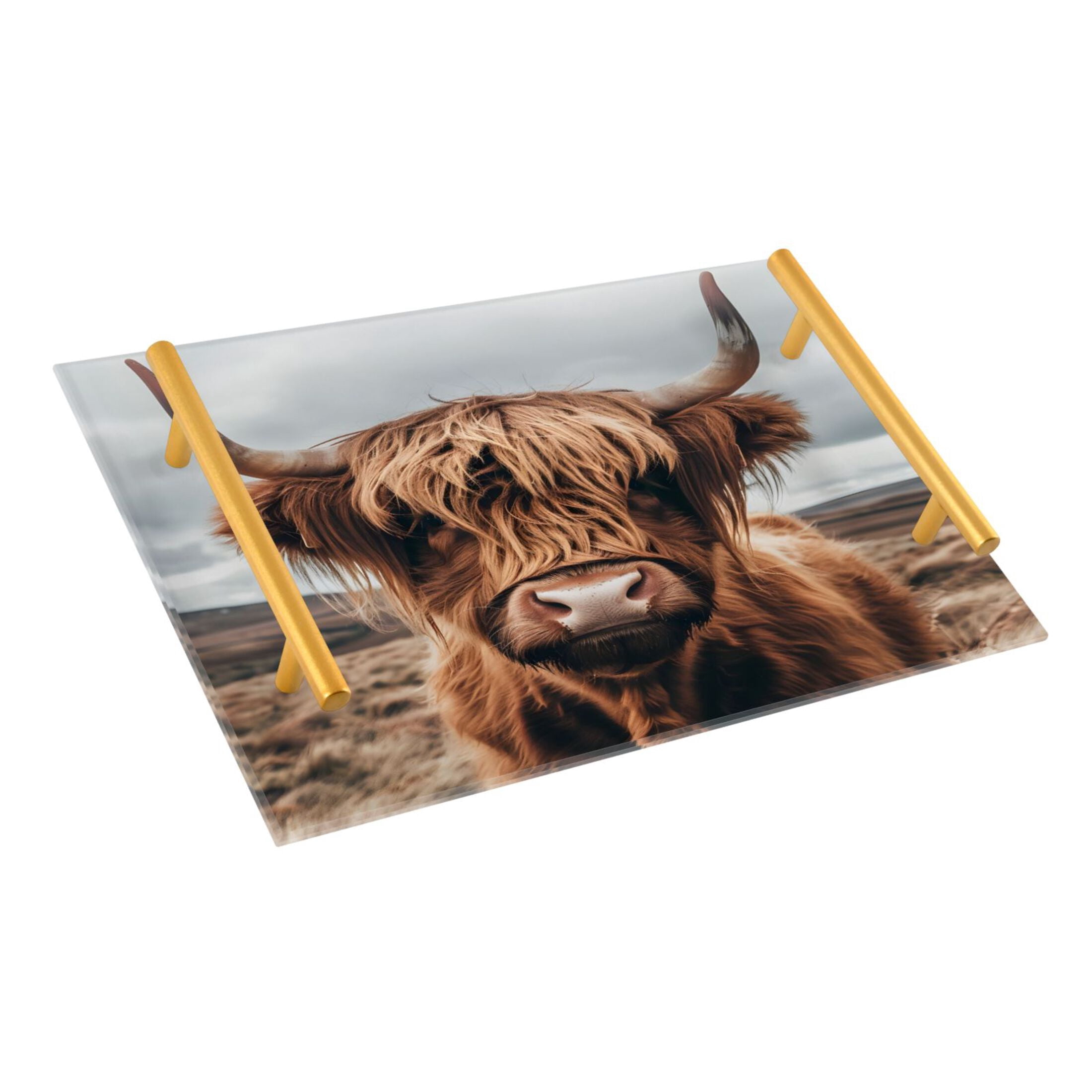 Ryvnso A Highland Cow Bathroom Tray Vanity Countertop Trays Acrylic ...