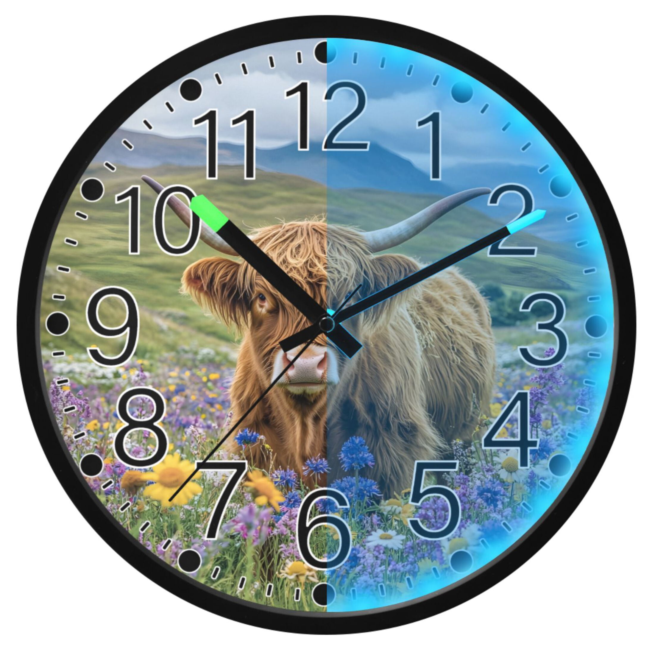 Ryvnso Highland Cattles in Field 12 Inch Night Light Wall Clock Silent ...