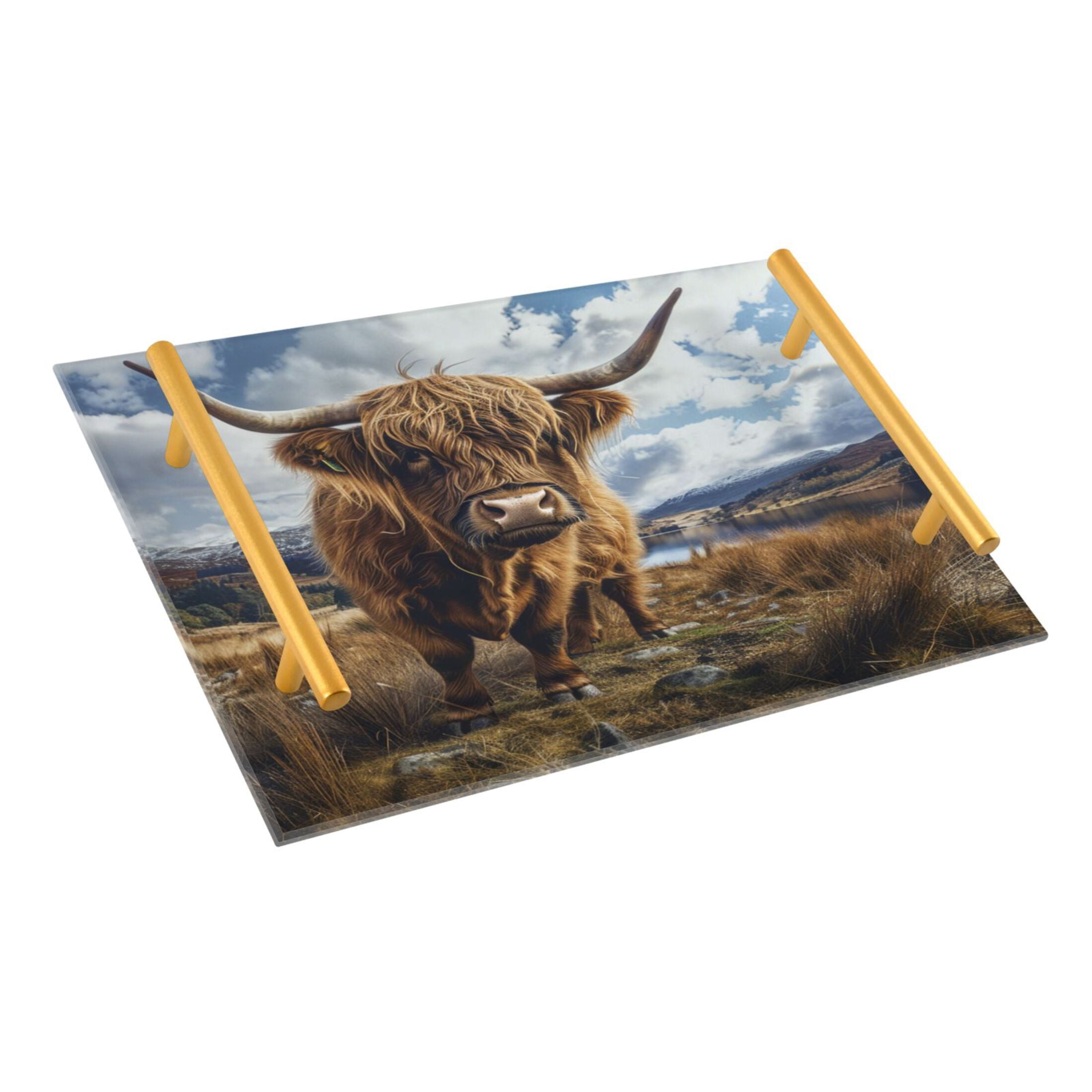 Ryvnso Highland Cow Bathroom Tray Vanity Countertop Trays Acrylic ...