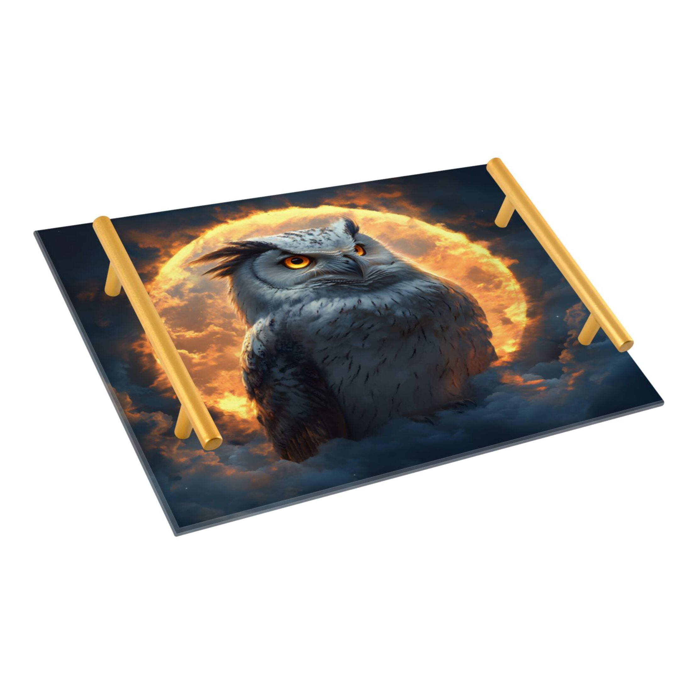 Ryvnso Owl and Moon Bathroom Tray Vanity Countertop Trays Acrylic ...