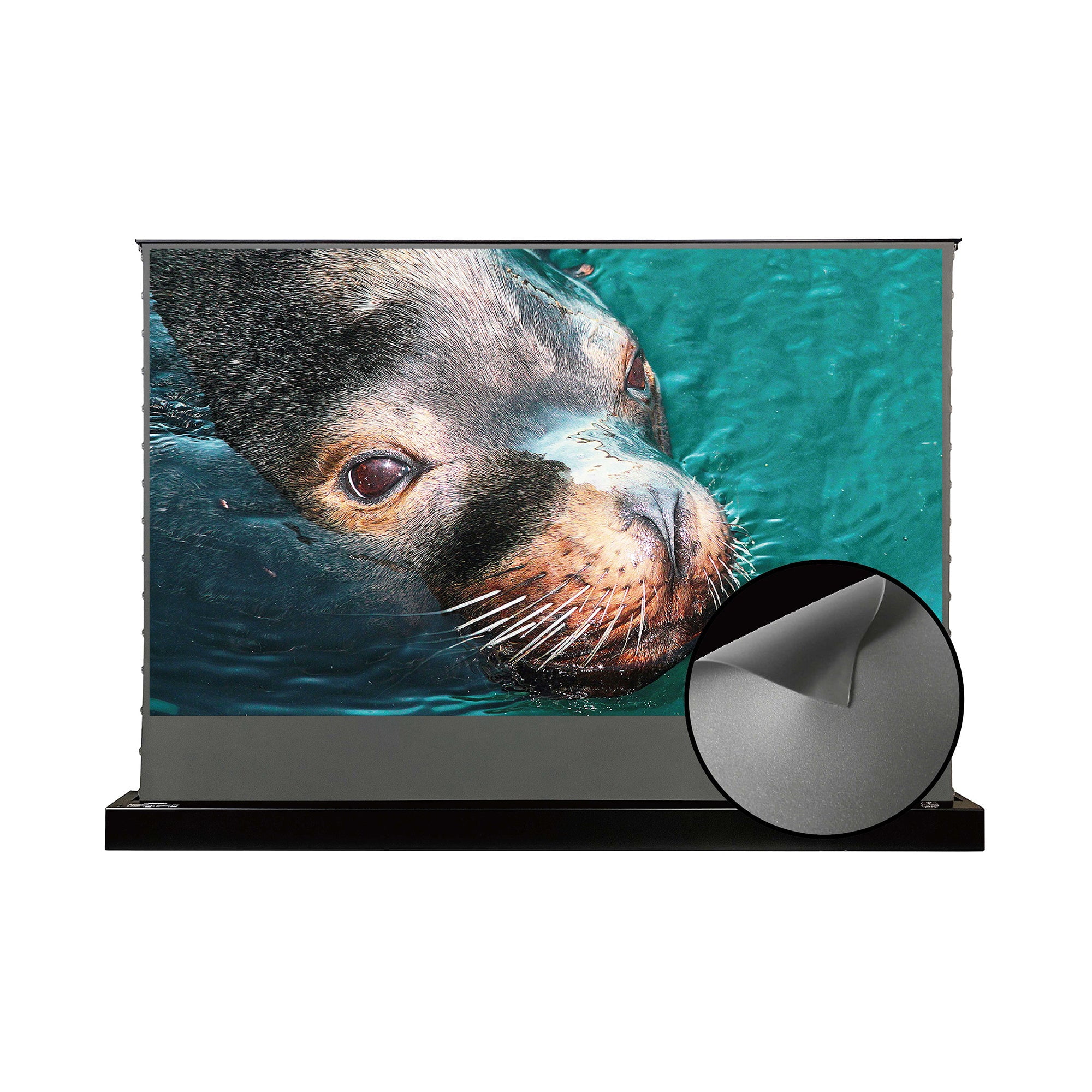 S Electric Tension Floor Screen With Obsidian Long Throw ALR (Ambient ...