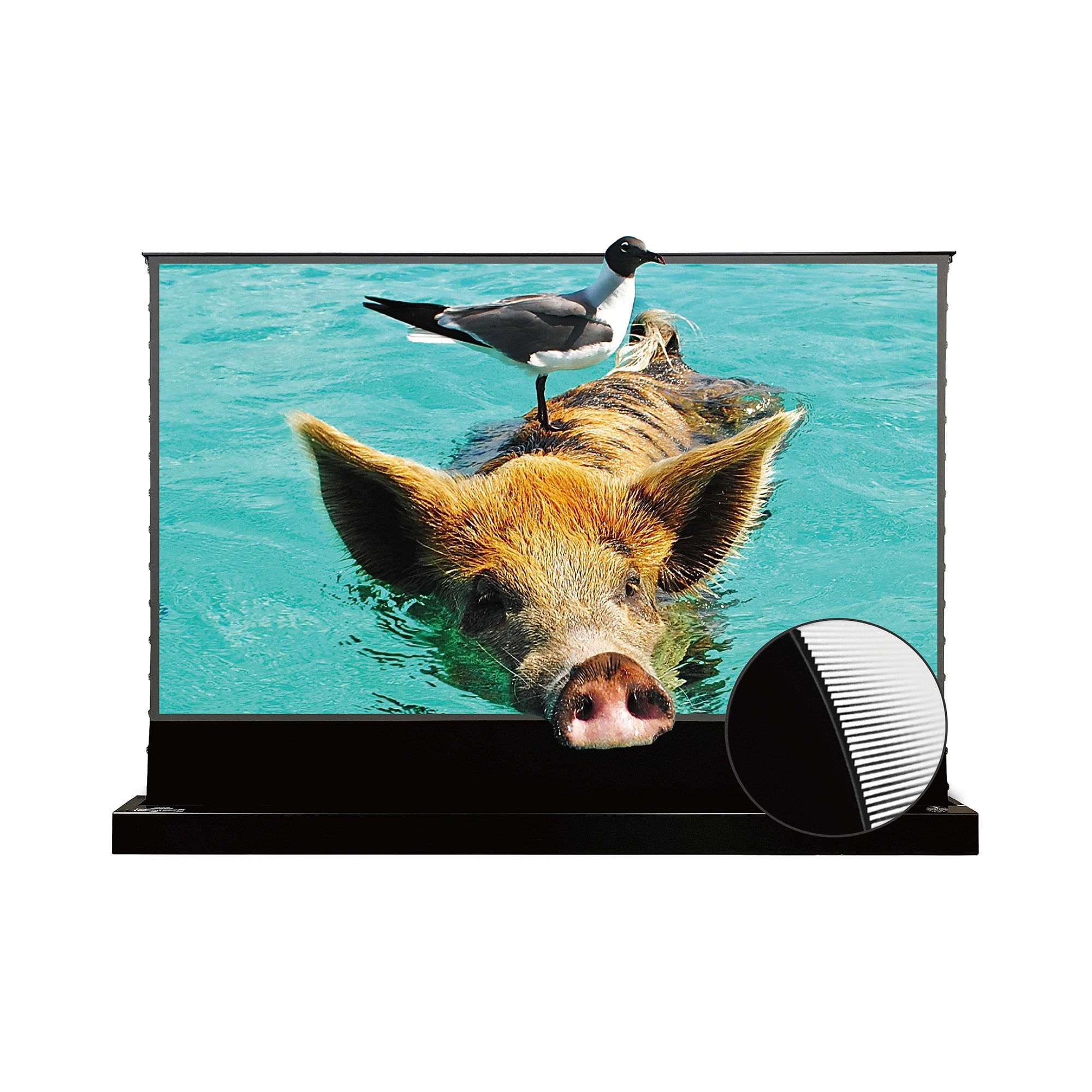 S PRO Electric Tension Floor Screen With UST ALR(Ultra Short Throw ...