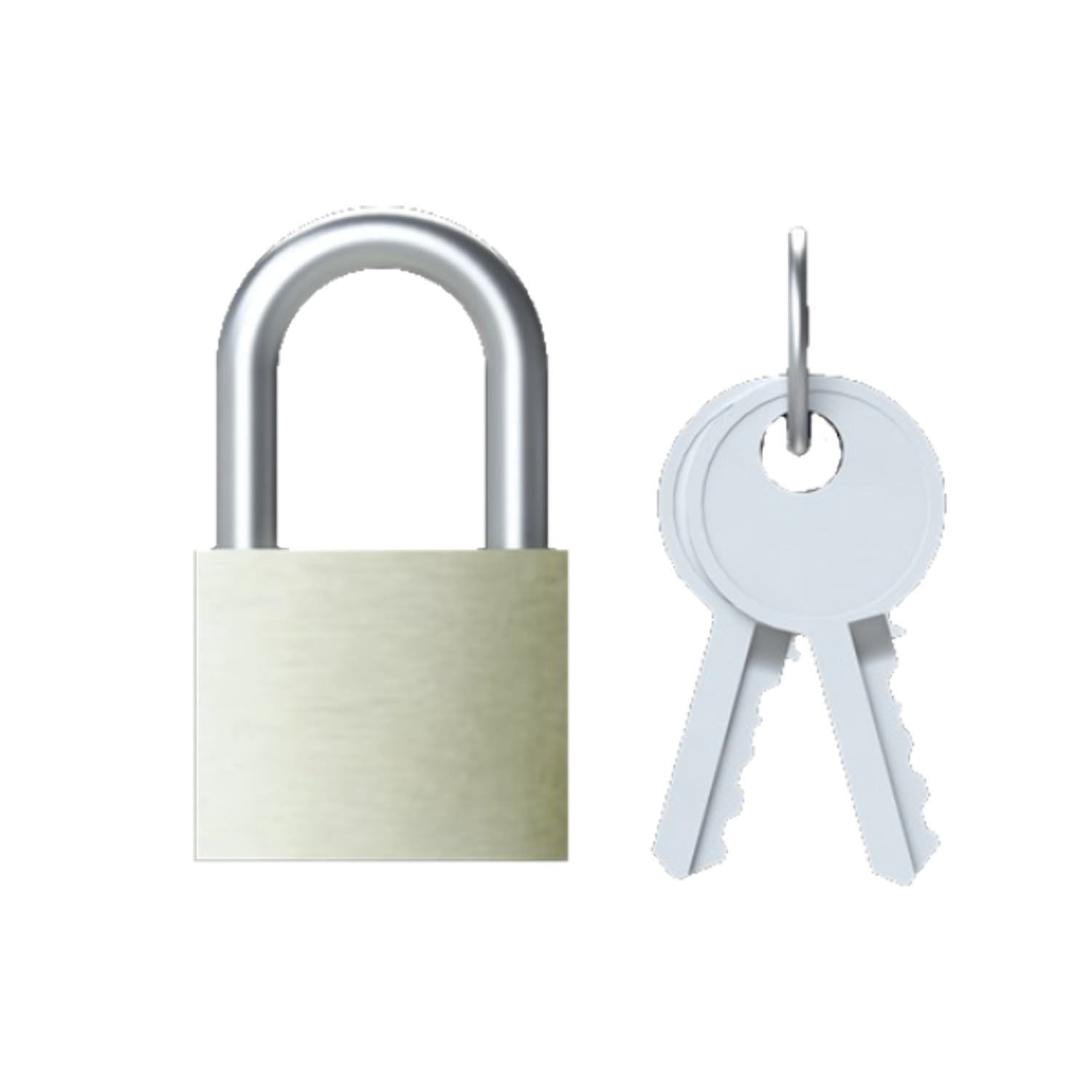 SA2 Mini Padlock With 2 Keys, For S200, S200P And S200Pr Miniature ...